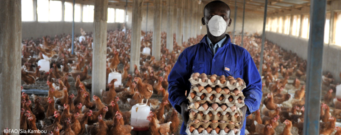 FAO Virtual Learning Centers